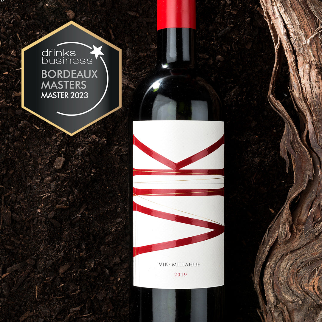 VIK 2019 - 750 ml – VIK Chile