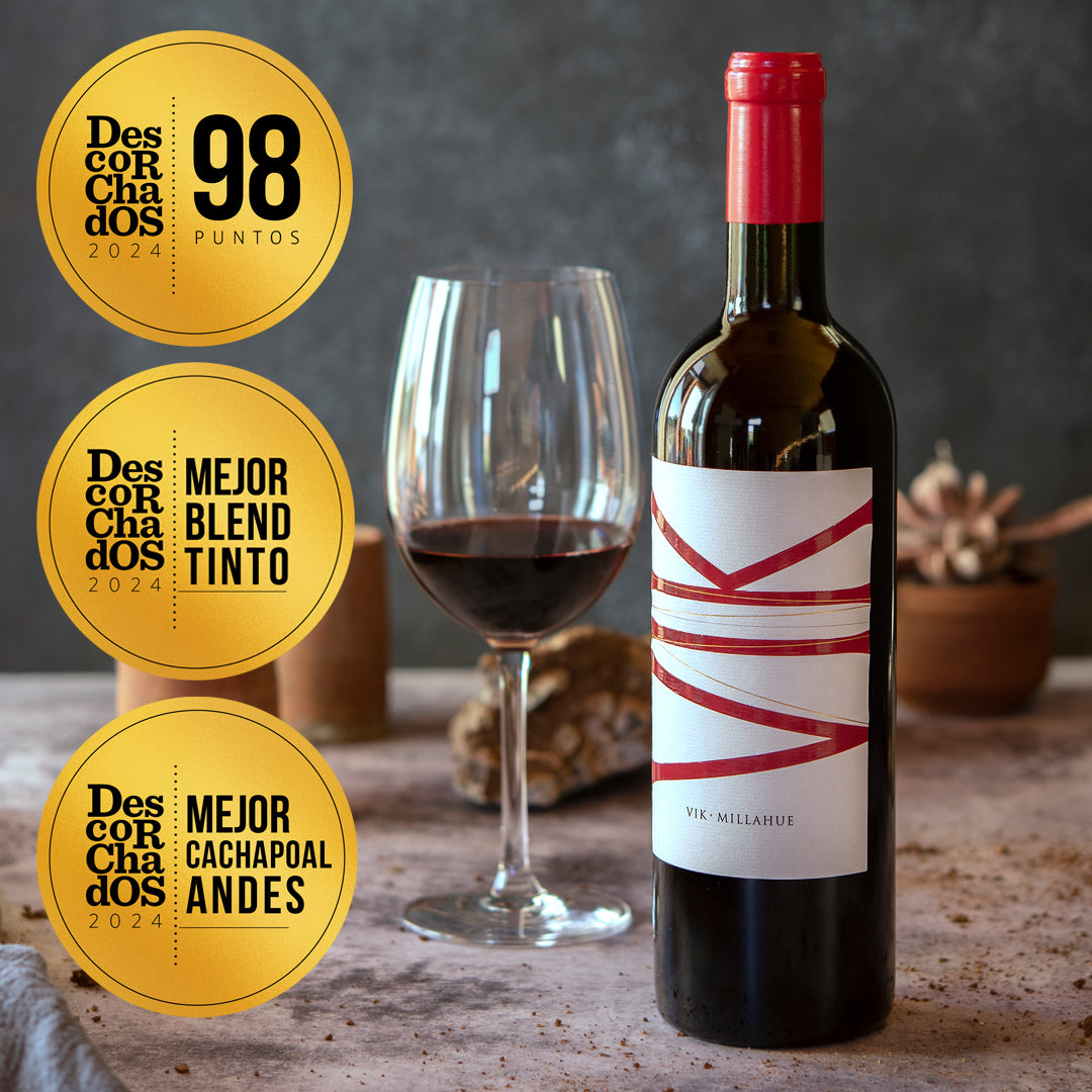 VIK 2020 - 750 ml – VIK Chile