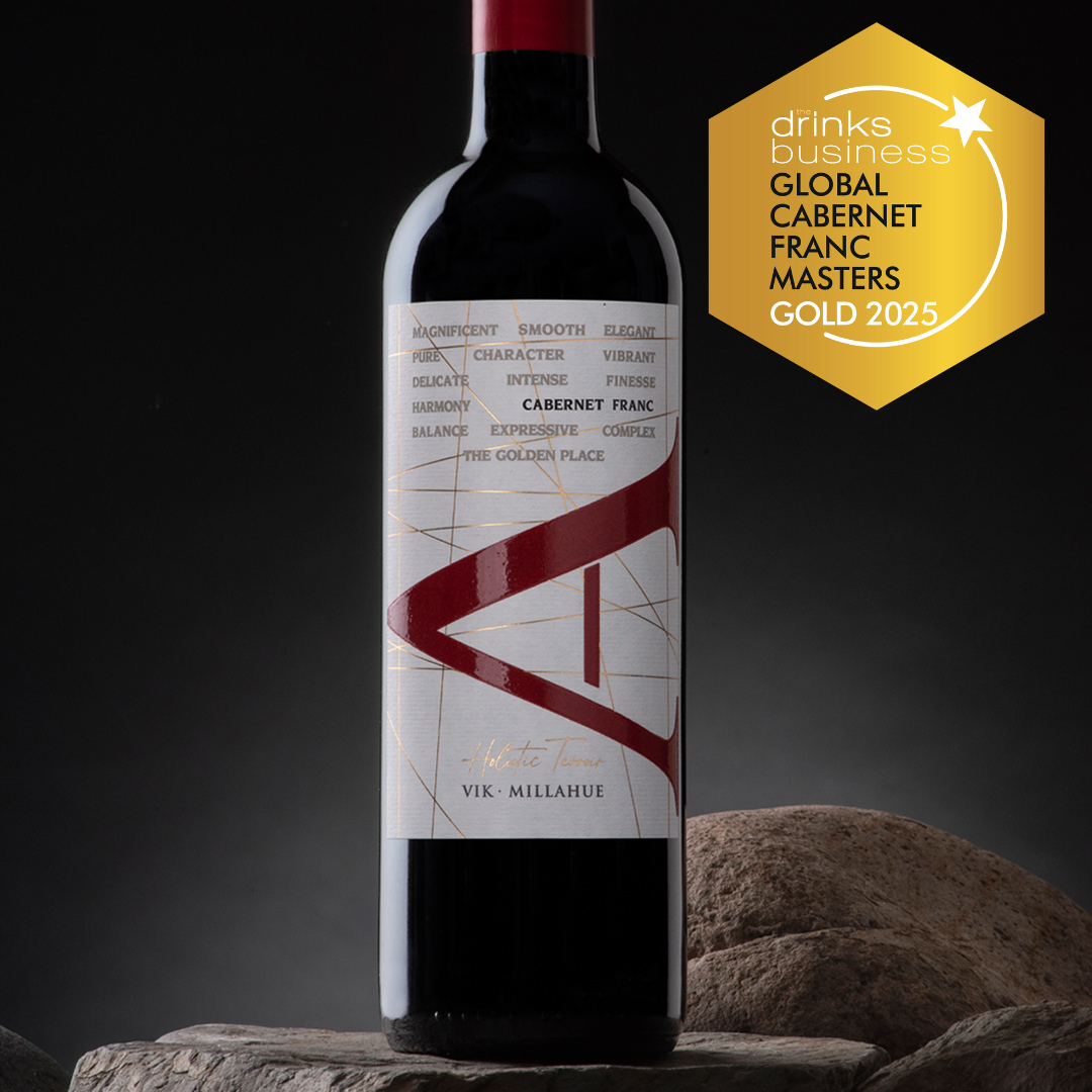 Pack: 2 Vinos VIK "A" Cabernet Franc 2022 - 750 ml + Descorchador VIK – VIK Chile