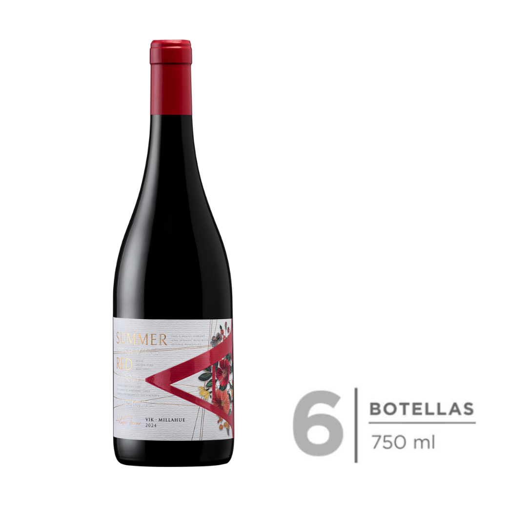 Pack: 6 Vinos VIK "A" Cabernet Nouveau 2024 - 750 ml – VIK Chile