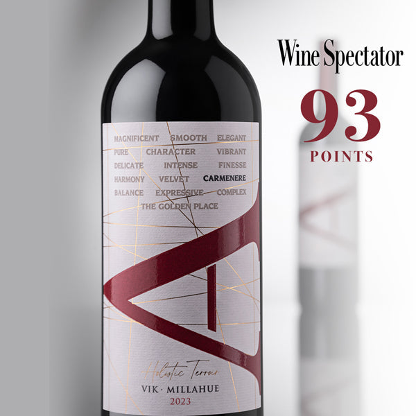 VIK "A" Carmenere 2023 - 750 ml – VIK Chile