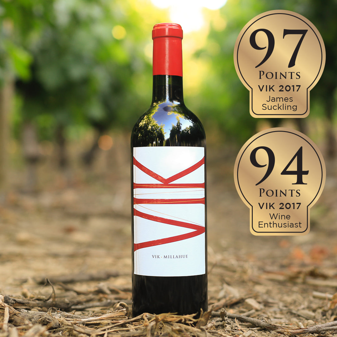 VIK 2017 - 750 ml – VIK Chile