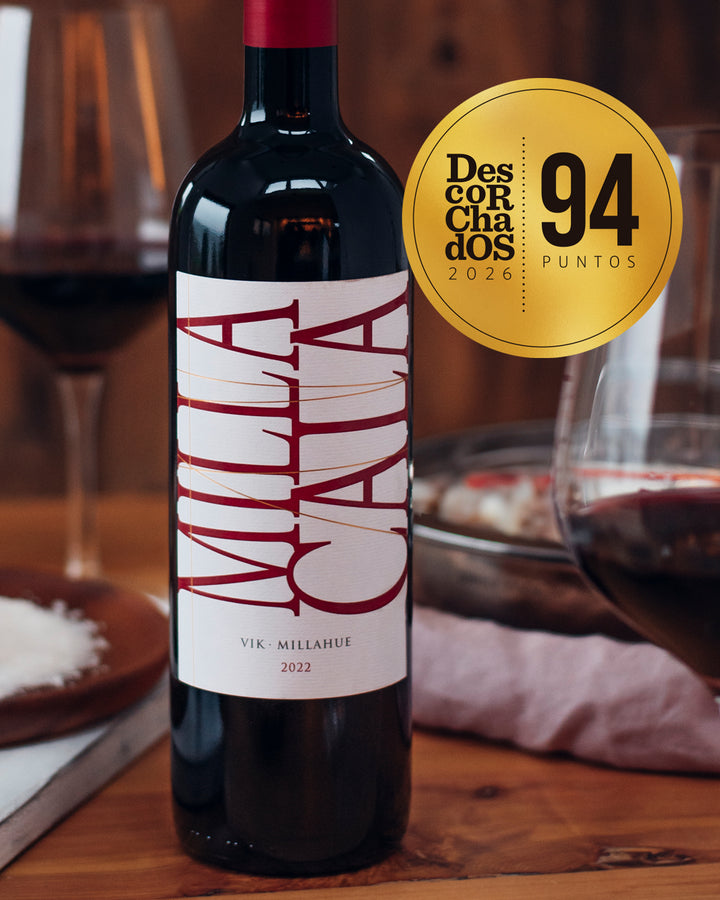 tours y experiencias vik – VIK Chile