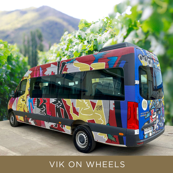 tours y experiencias vik – VIK Chile
